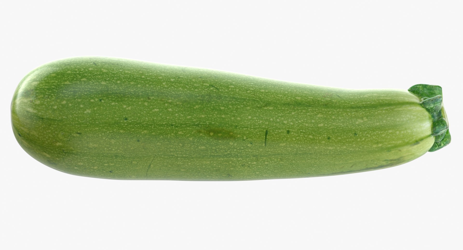 3D 2 Zucchinis Cousa Squash 04 Whole and Cut Collection - TurboSquid ...