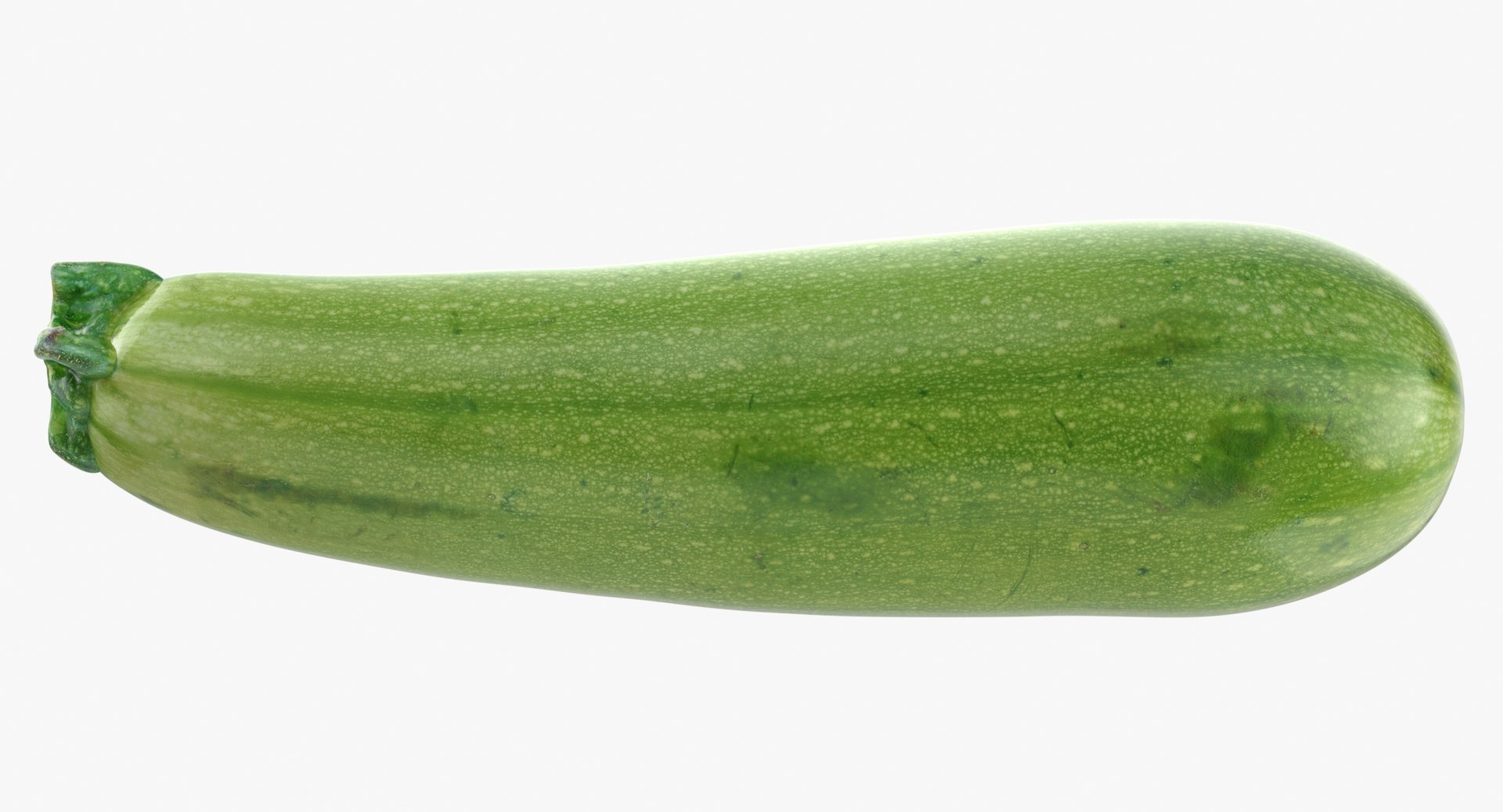 3D 2 Zucchinis Cousa Squash 04 Whole and Cut Collection - TurboSquid ...