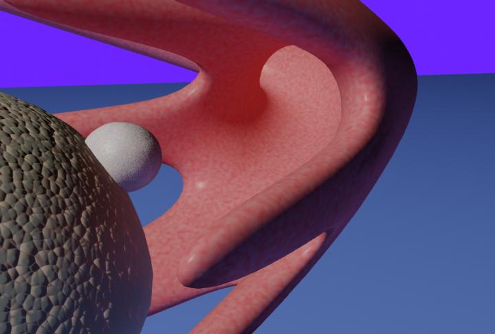 3d Model Of Human Fertilization