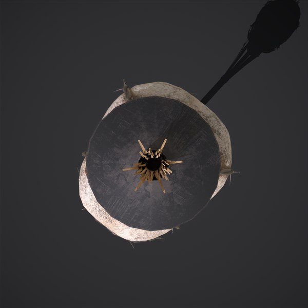 Skull Torch 3D model - TurboSquid 1806424