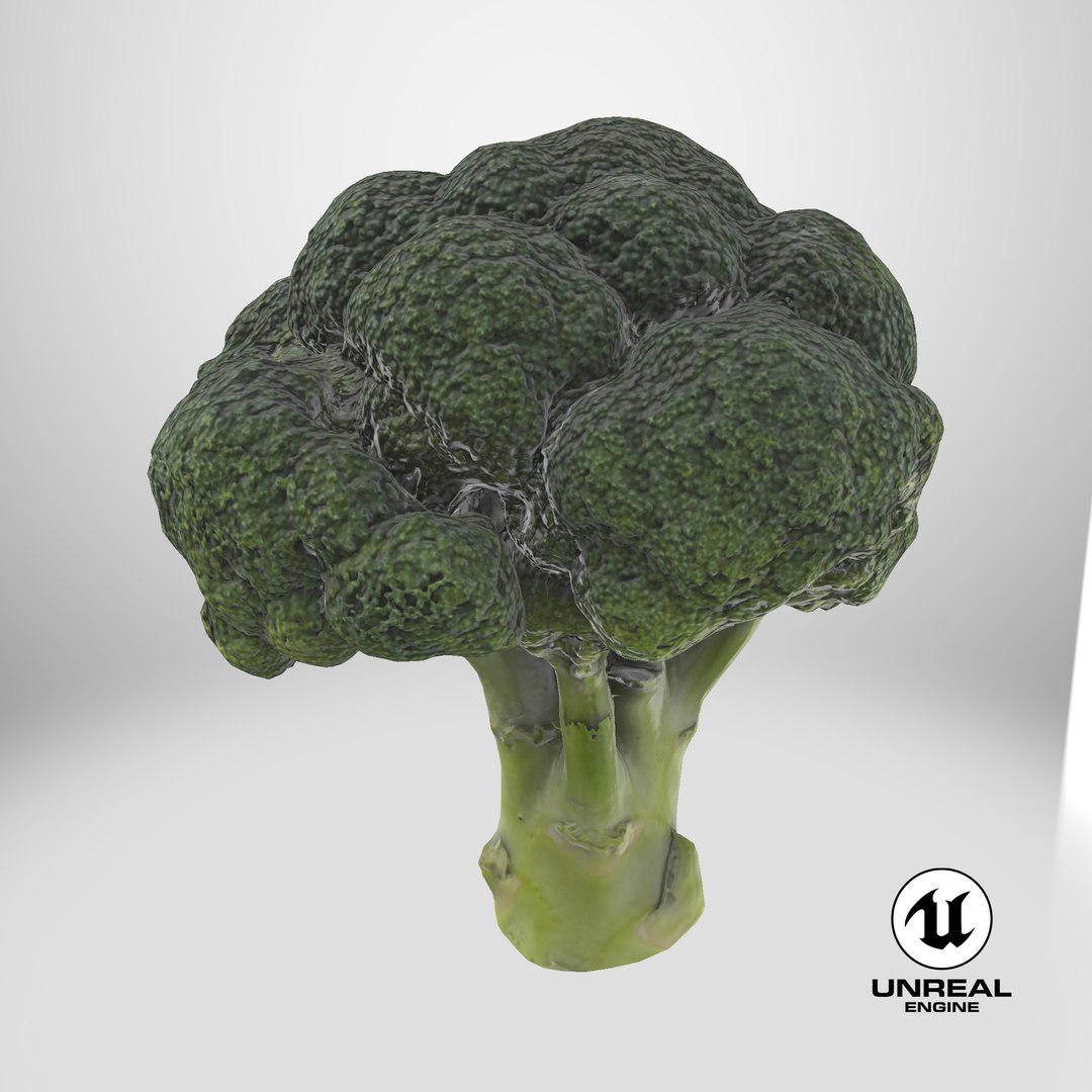 Free Broccoli 3D Model - TurboSquid 2314805