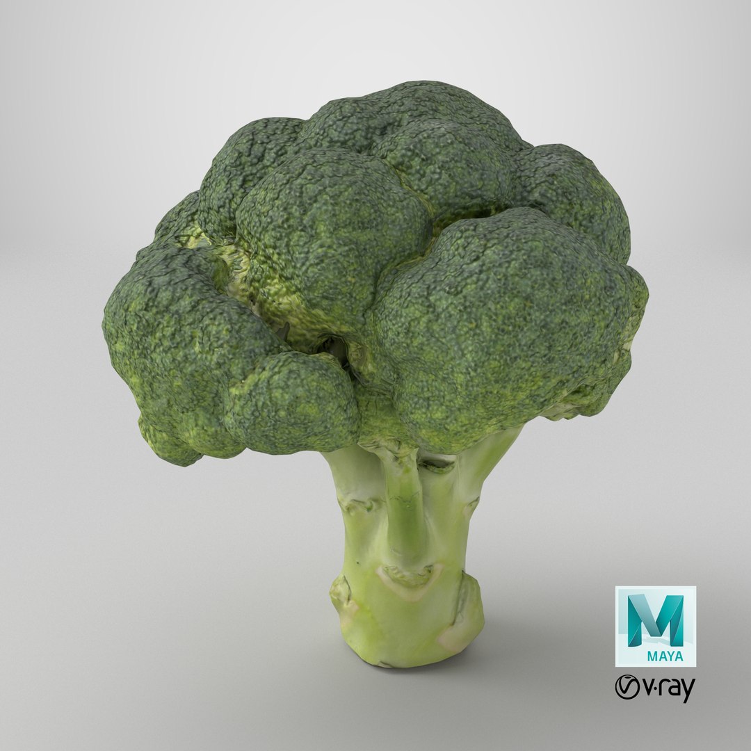 Free Broccoli 3D Model - TurboSquid 2314805