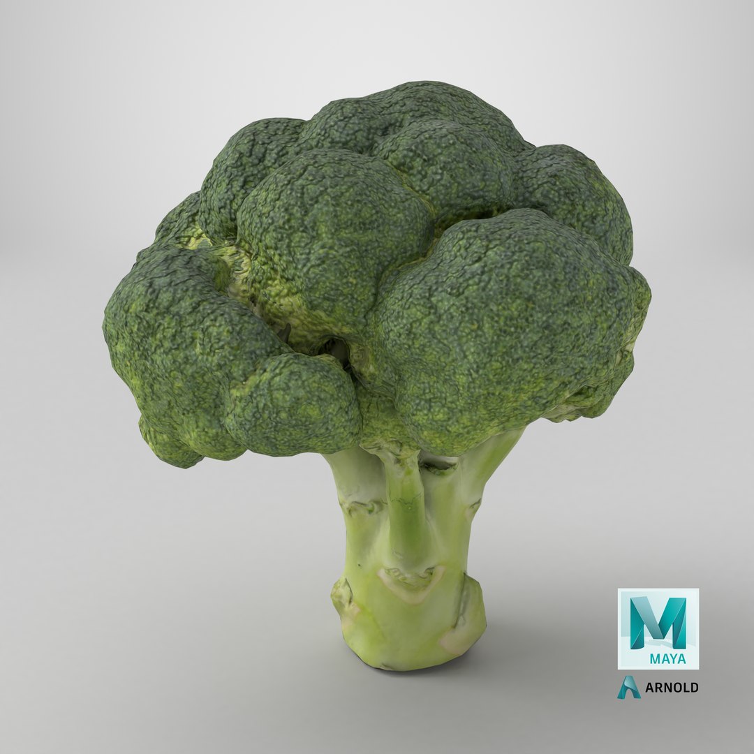 Free Broccoli 3D Model - TurboSquid 2314805