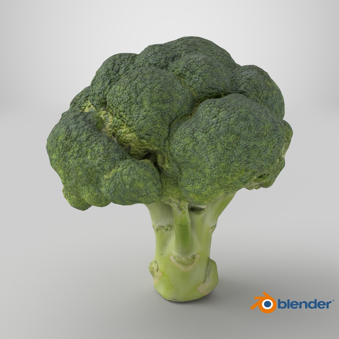 Free Broccoli 3D Model - TurboSquid 2314805
