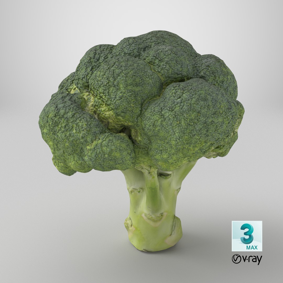 Free Broccoli 3D Model - TurboSquid 2314805