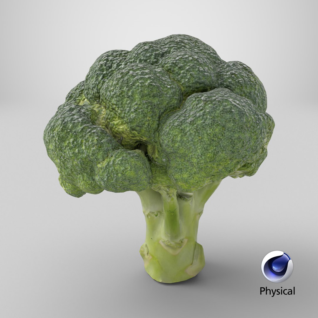 Free Broccoli 3D Model - TurboSquid 2314805