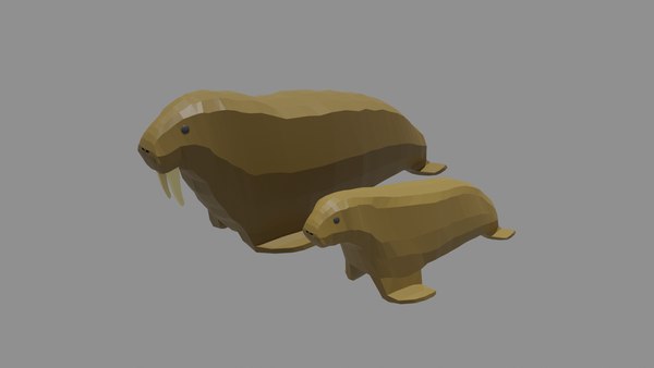 Walrus 3D Models for Download | TurboSquid
