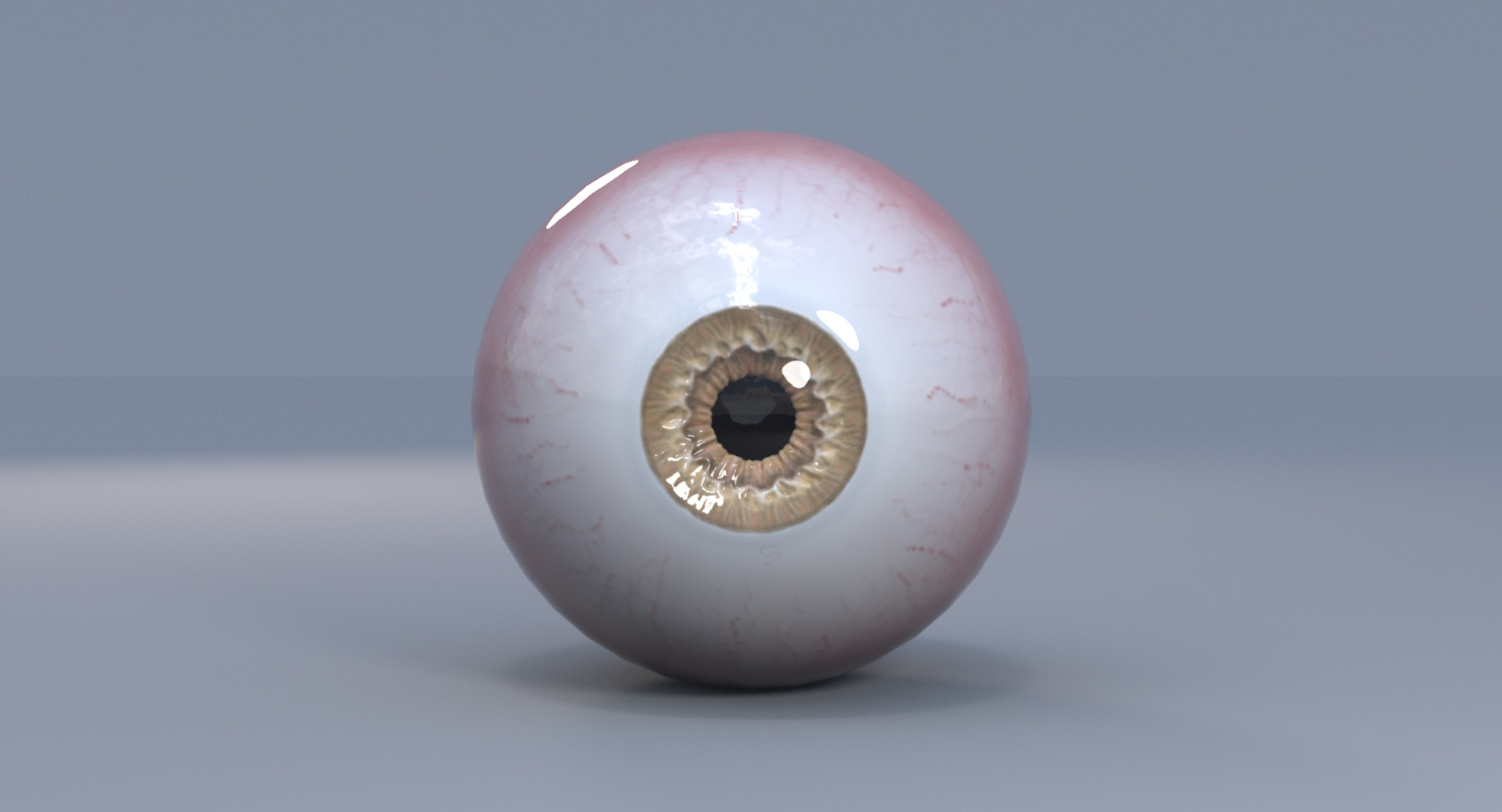 3D Realistic Human Eye Ball Model - TurboSquid 1382798