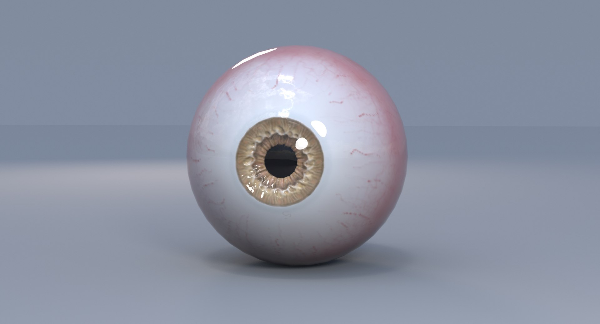 3D Realistic Human Eye Ball Model - TurboSquid 1382798