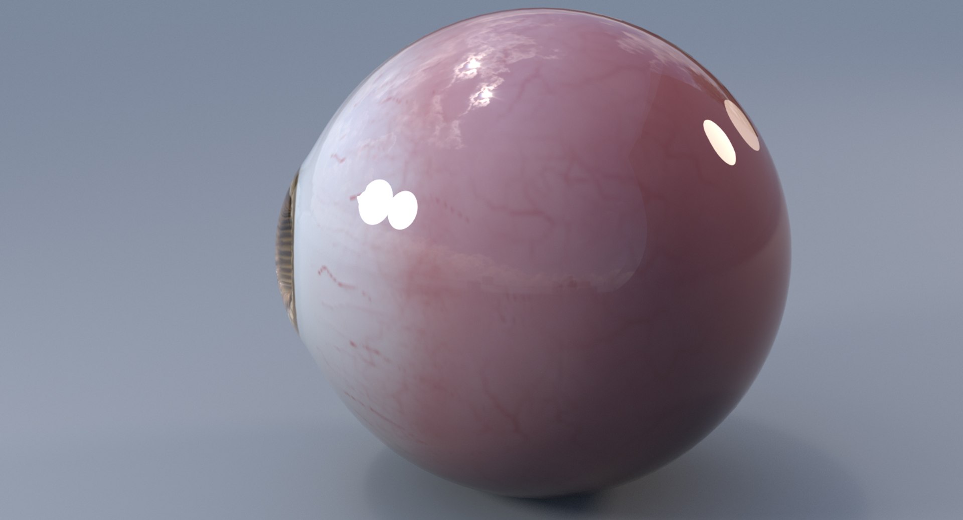 3D Realistic Human Eye Ball Model - TurboSquid 1382798