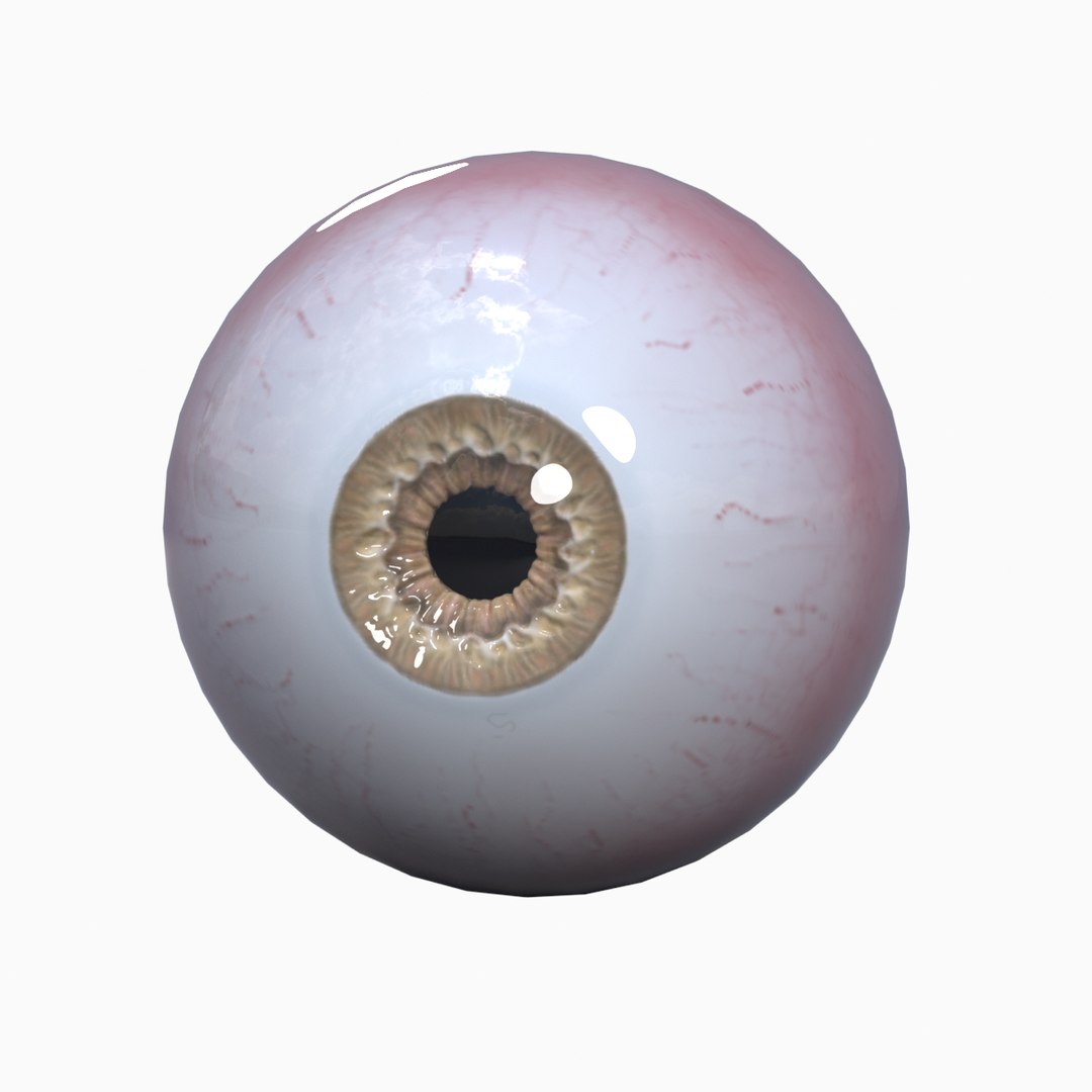 3D realistic human eye ball model - TurboSquid 1382798