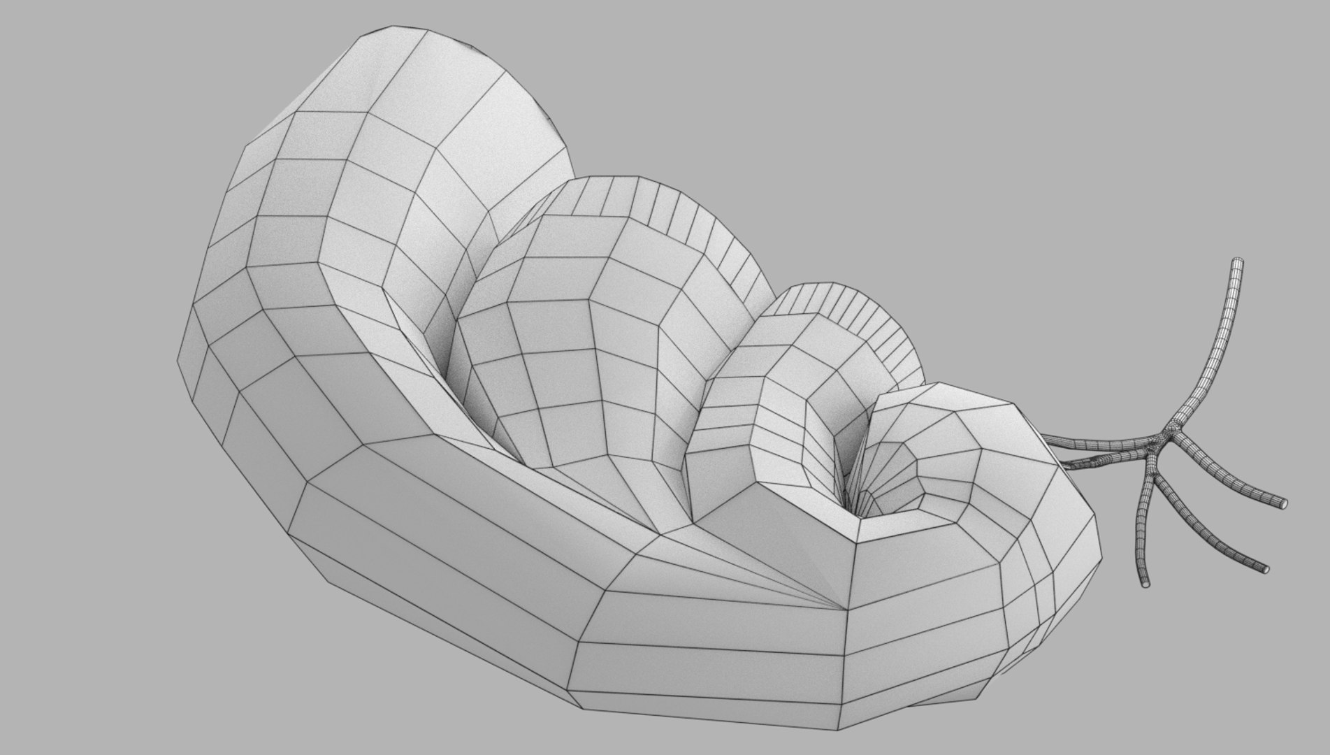 Inner Ear Organ Cochlear 3D - TurboSquid 1612690