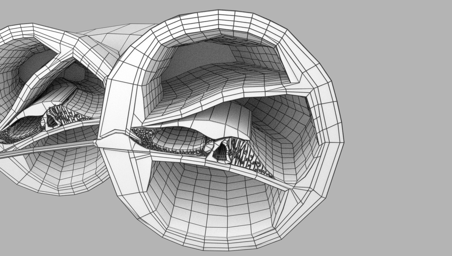 Inner Ear Organ Cochlear 3D - TurboSquid 1612690