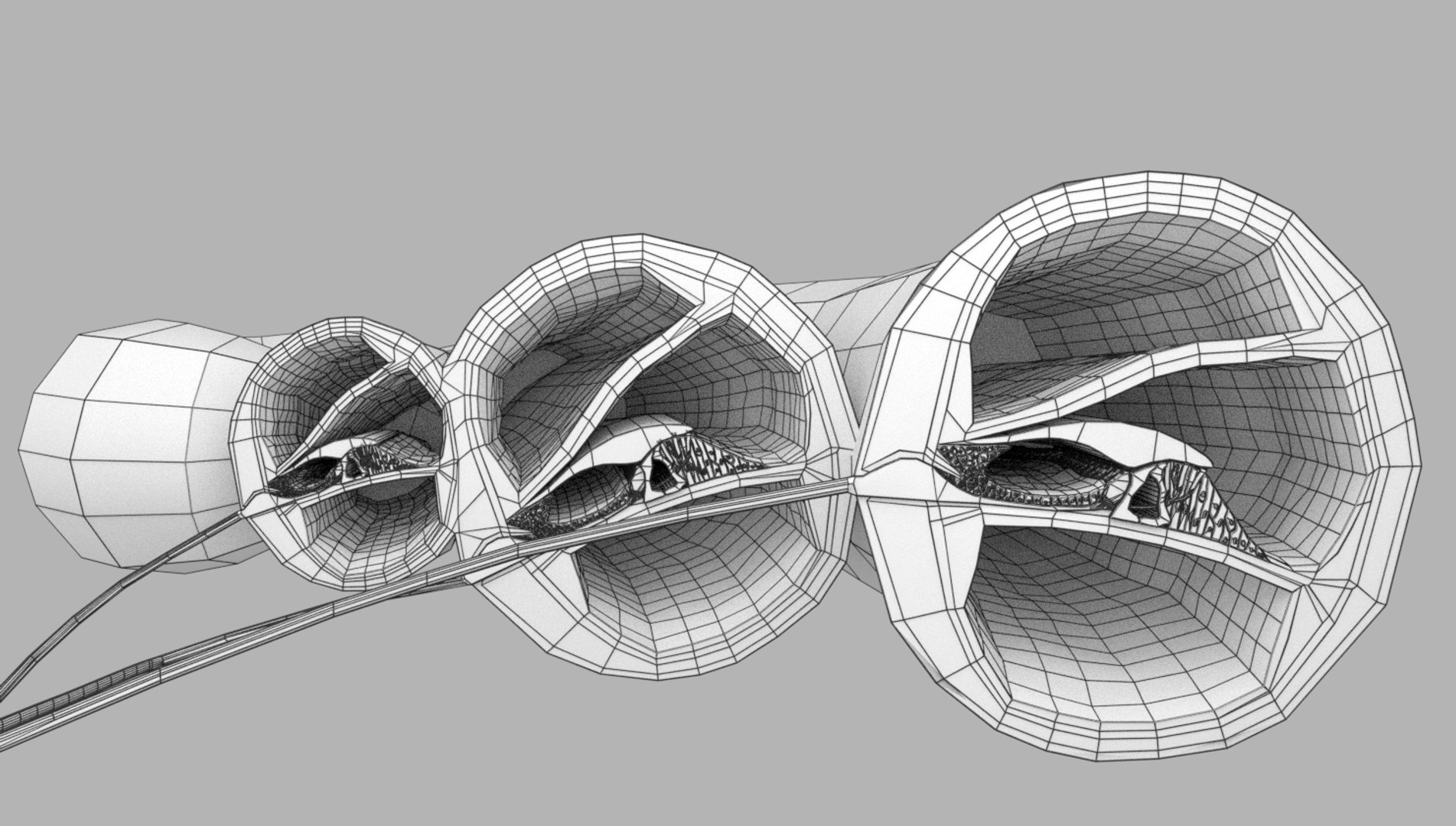 Inner Ear Organ Cochlear 3D - TurboSquid 1612690