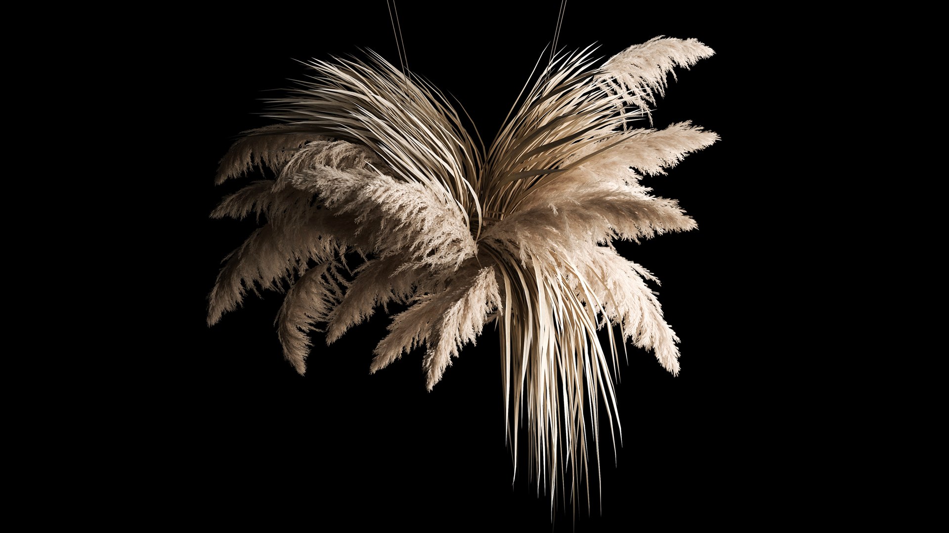 3D Previous Next Color palette Hanging Bouquet Of Dry Reeds For ...