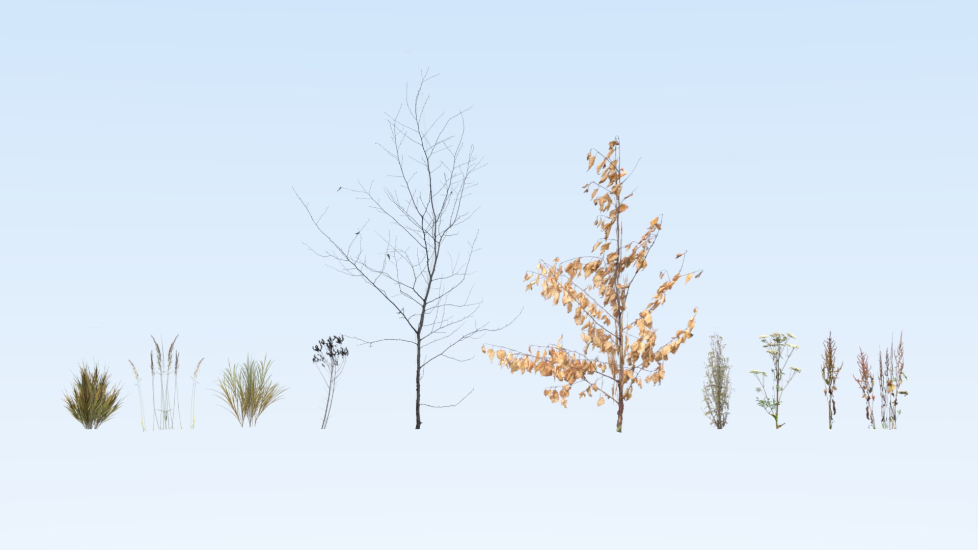 Dried Plants 3D - TurboSquid 1360726