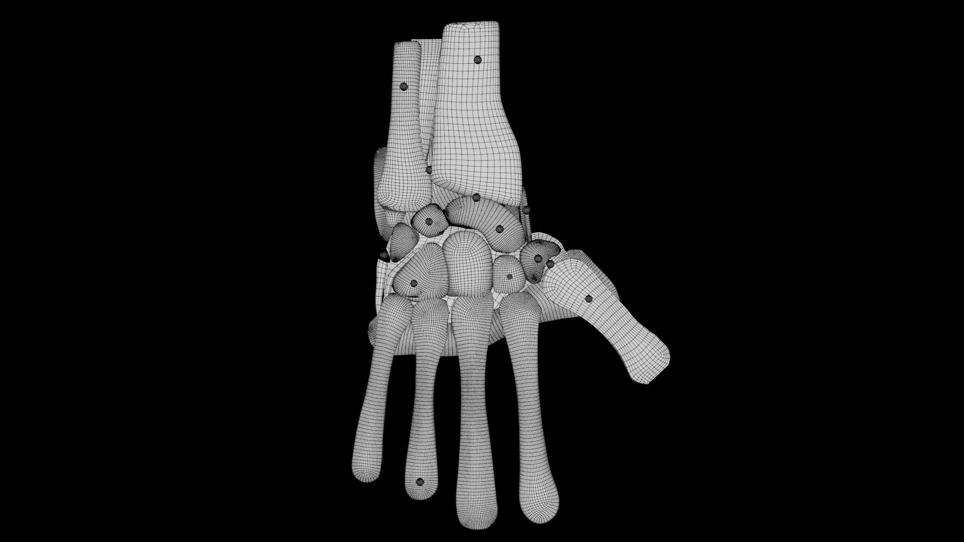 Human Anatomy-Upper Limb Wrist Nomenclature 3D Model - TurboSquid 2229697