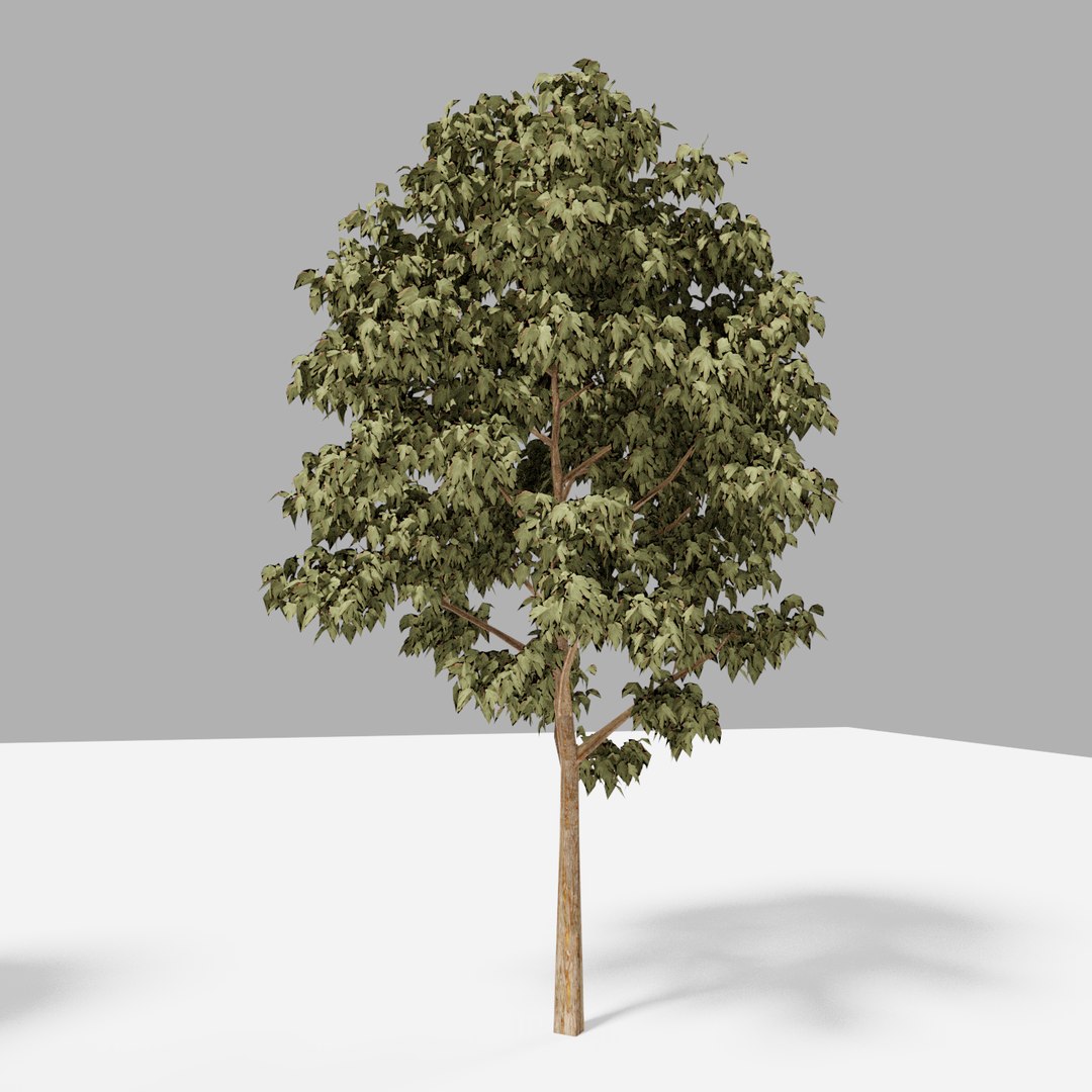 Trees Realistic 3D - TurboSquid 1218366