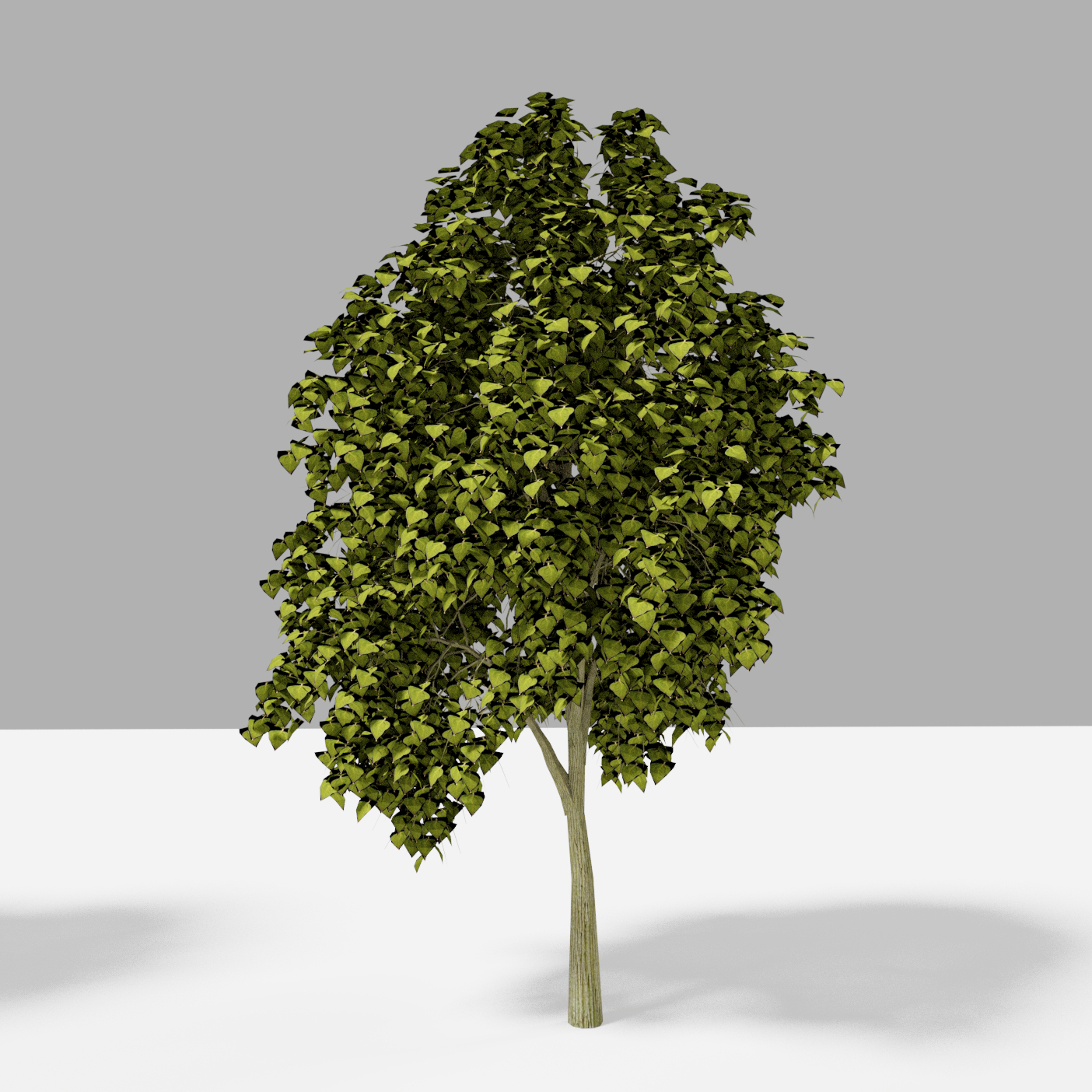 Trees realistic 3D - TurboSquid 1218366
