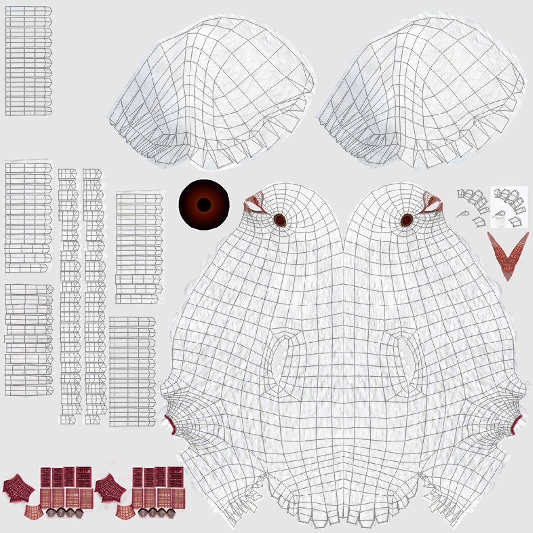 Realistic Dove Wings Folded 3d Obj