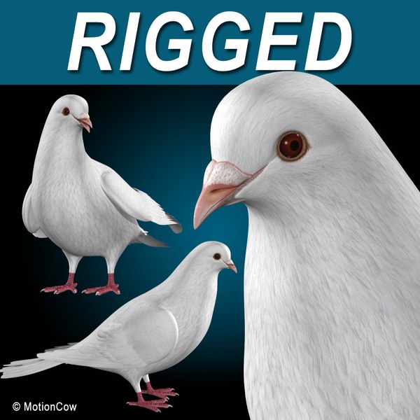 3ds max realistic flying dove