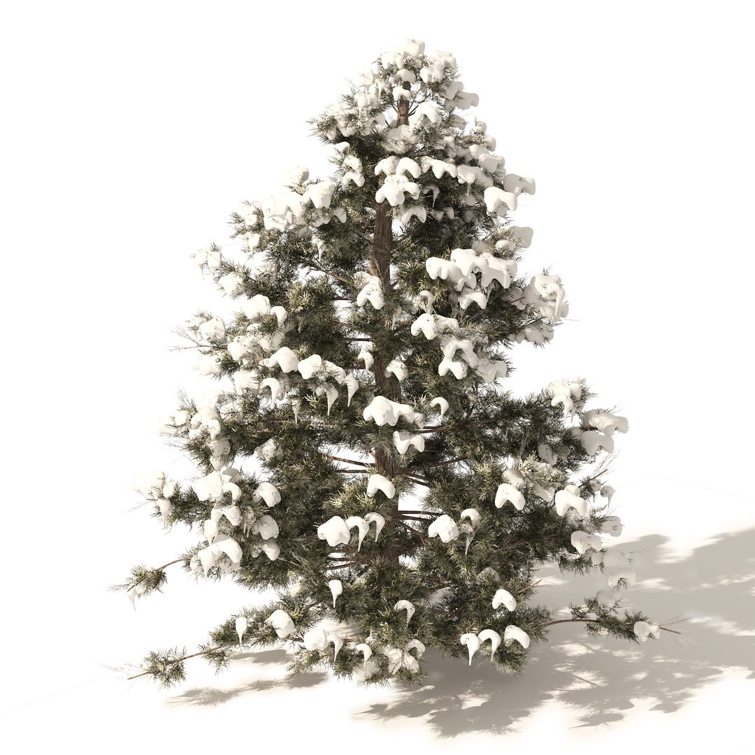 Snow Winter red cedar model - TurboSquid 1978209