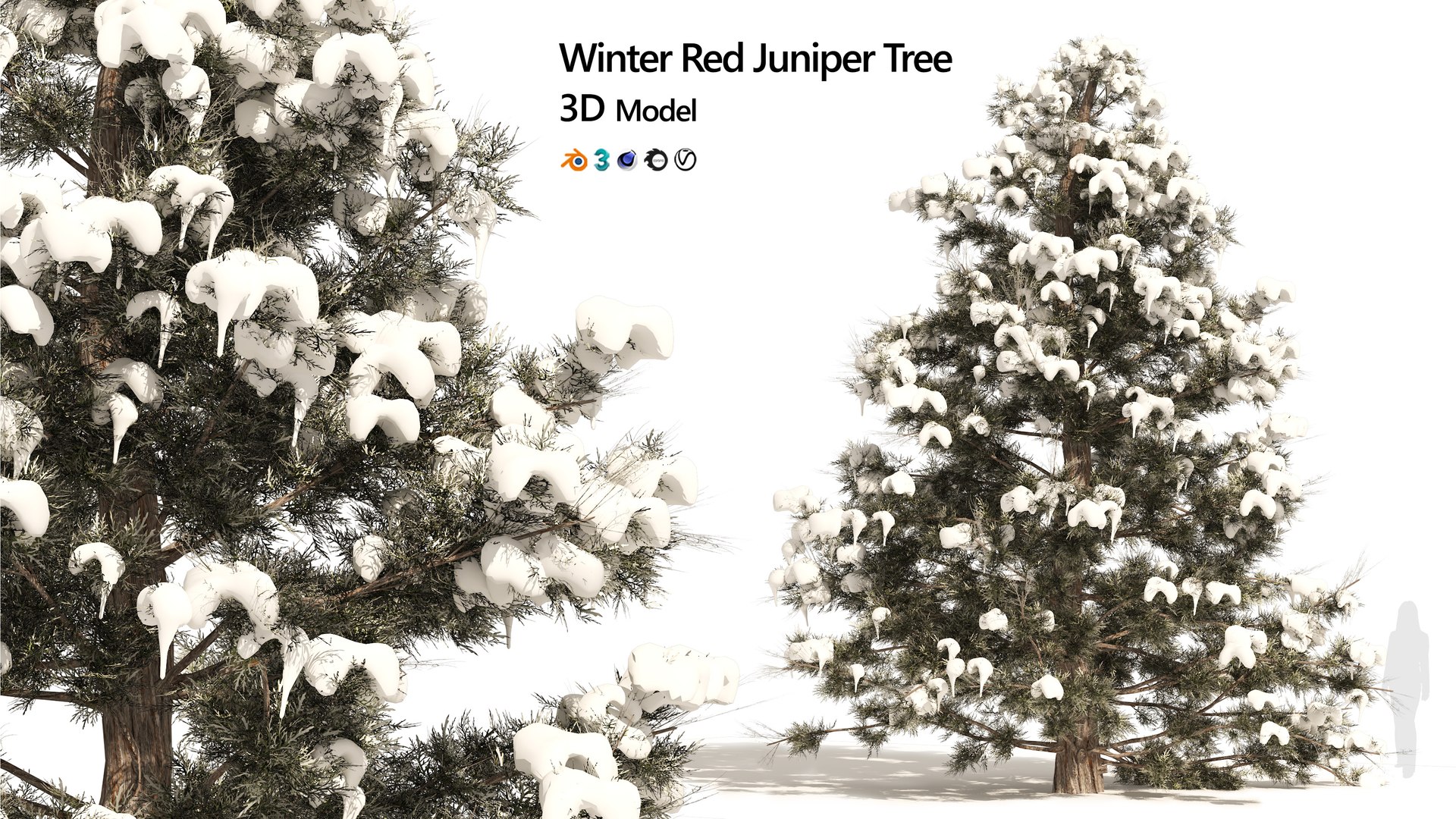 Snow Winter red cedar model - TurboSquid 1978209