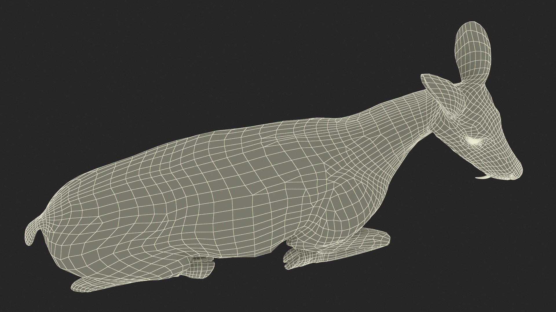 Sitting Musk Deer Fur 3D Model - TurboSquid 2183294