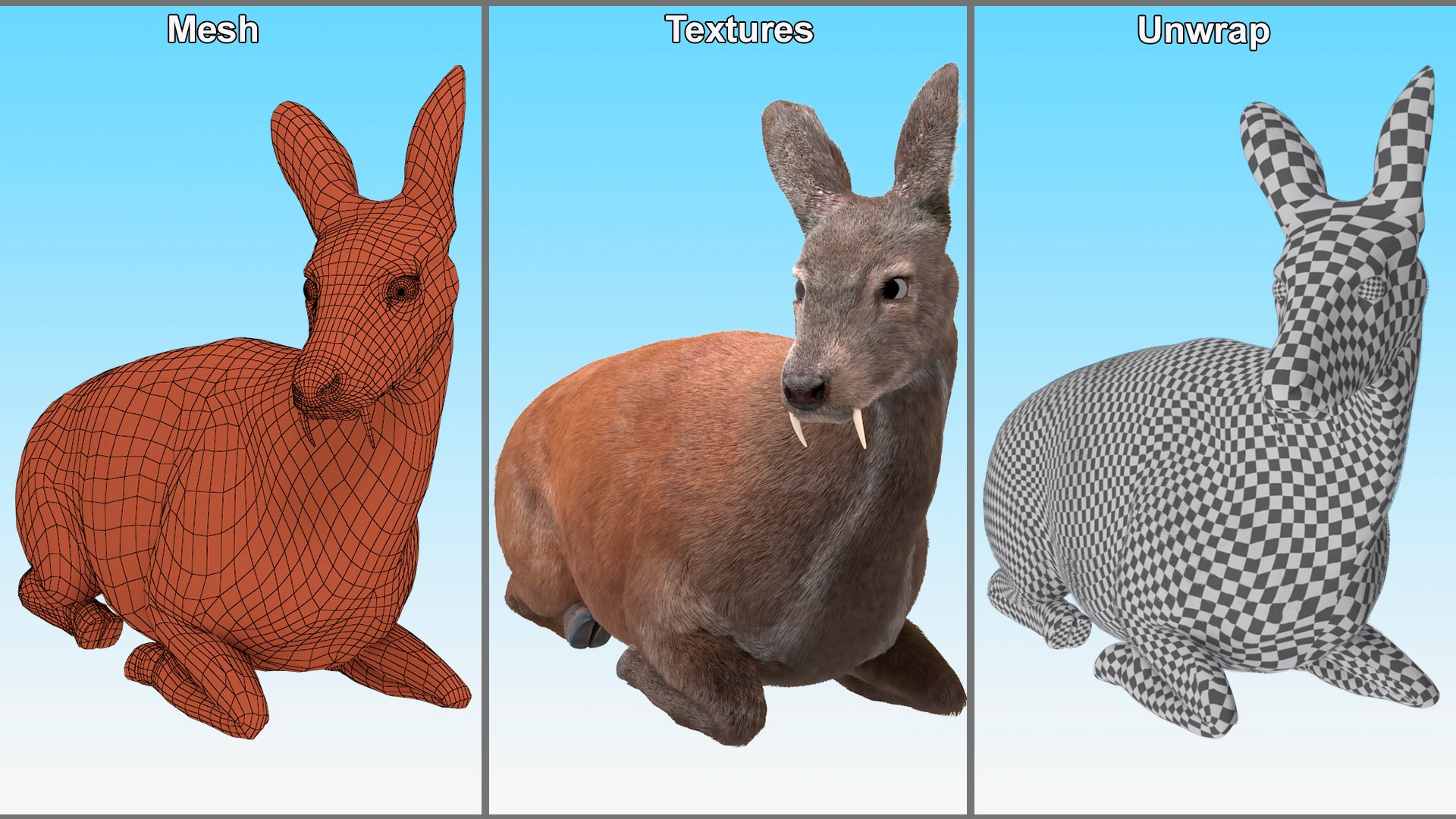 Sitting Musk Deer Fur 3D Model - TurboSquid 2183294