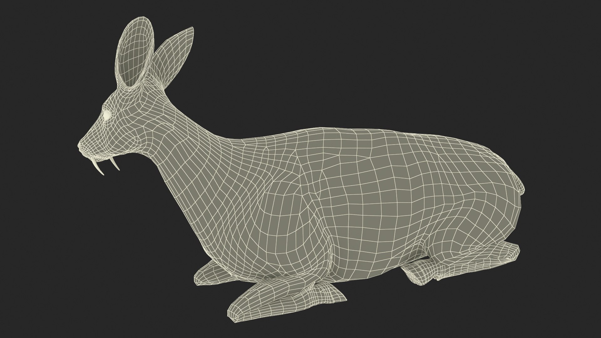 Sitting Musk Deer Fur 3D Model - TurboSquid 2183294
