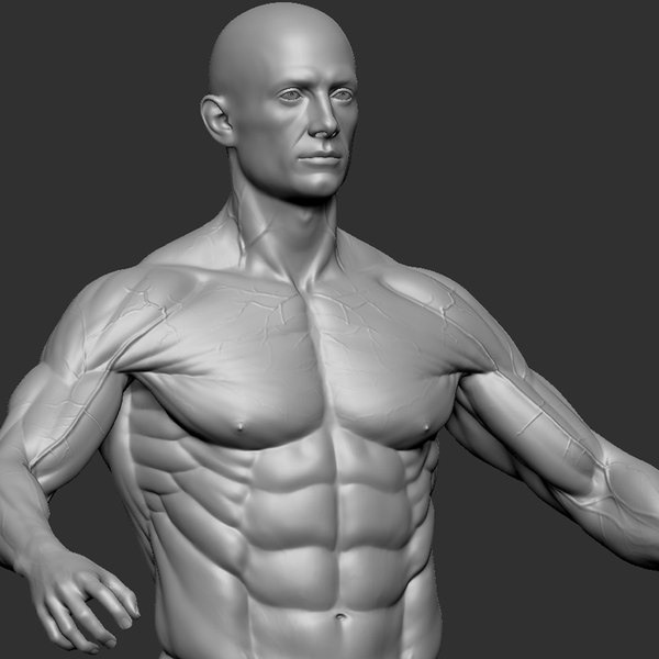 3D Male Base Mesh - TurboSquid 1809981