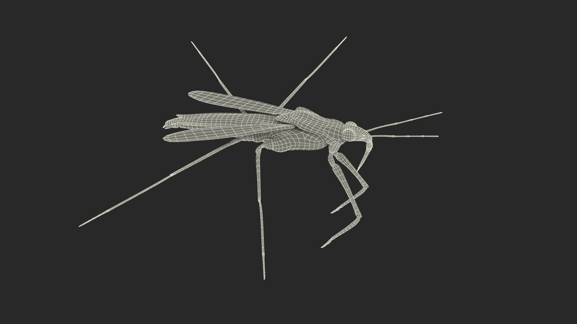 Water Strider Rigged 3D - TurboSquid 2115219