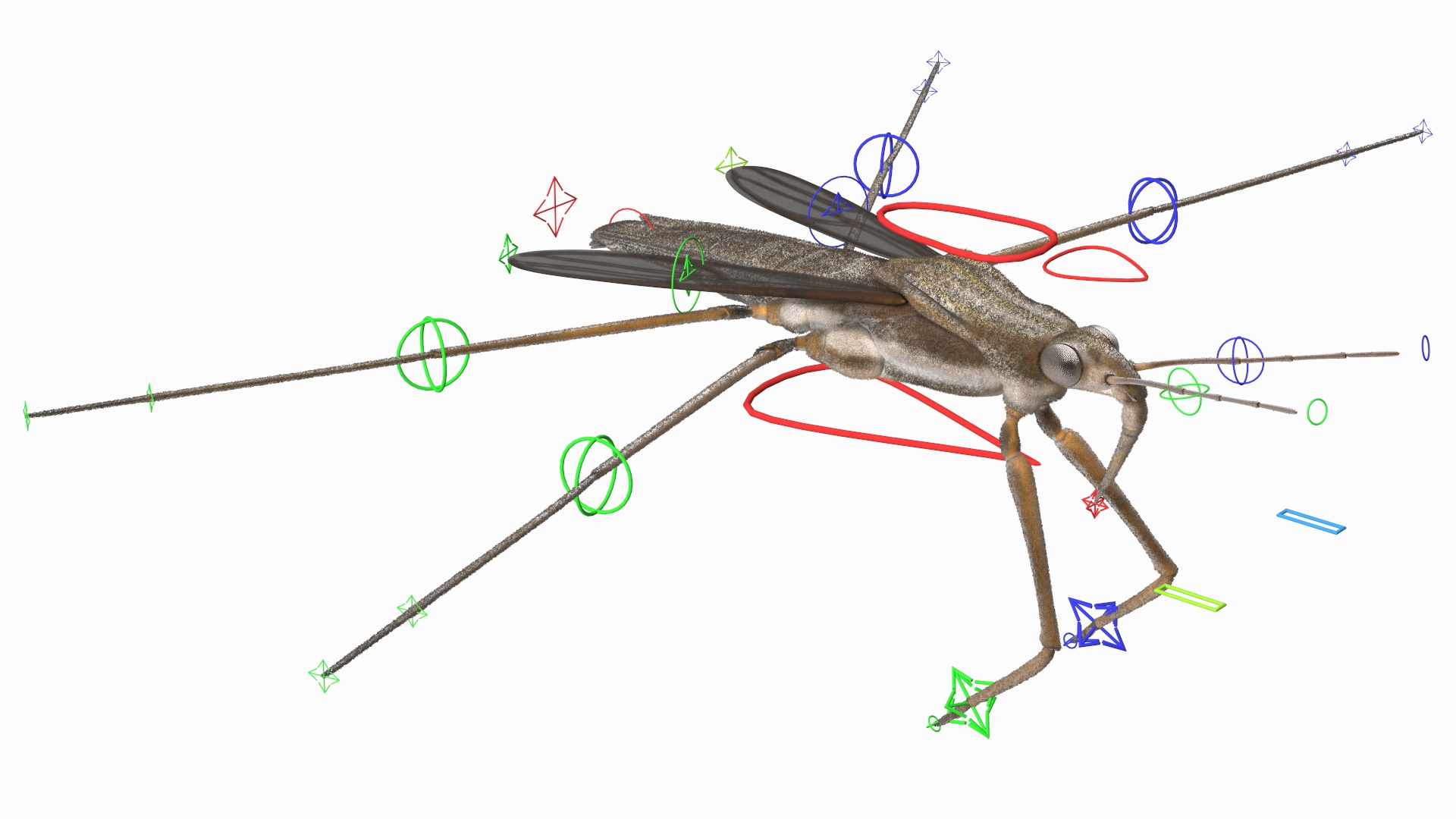 Water Strider Rigged 3D - TurboSquid 2115219