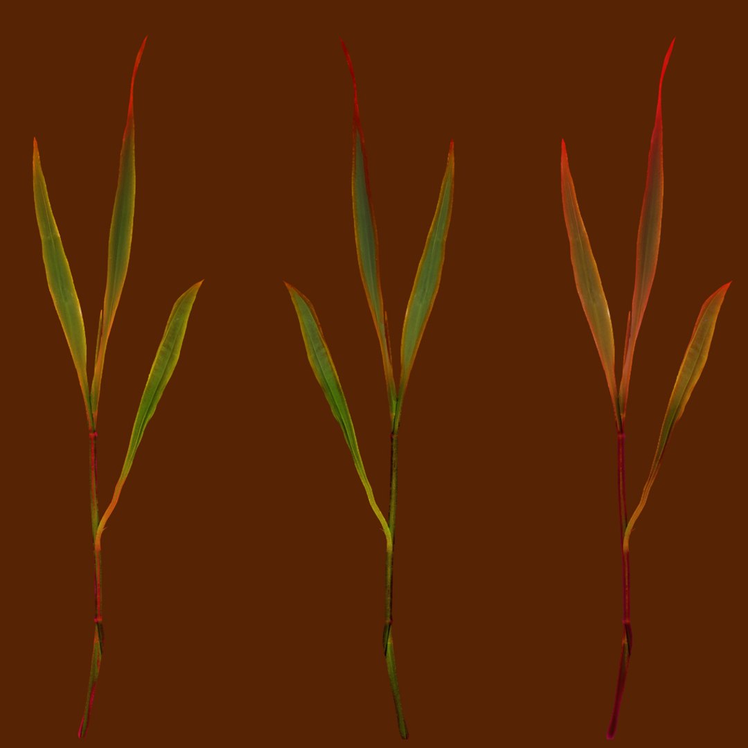 3d model grass polygons