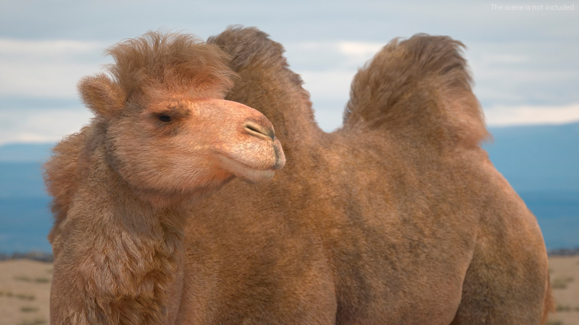 Bactrian Camel Fur Rigged 3D - TurboSquid 2276878