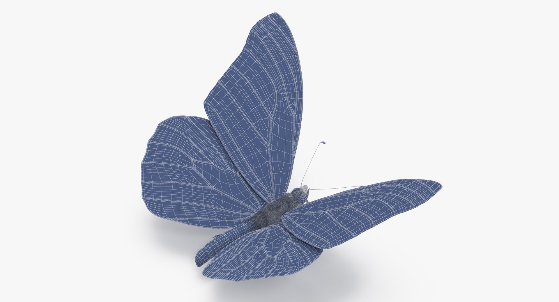 Monarch Butterfly Flying 3d Model