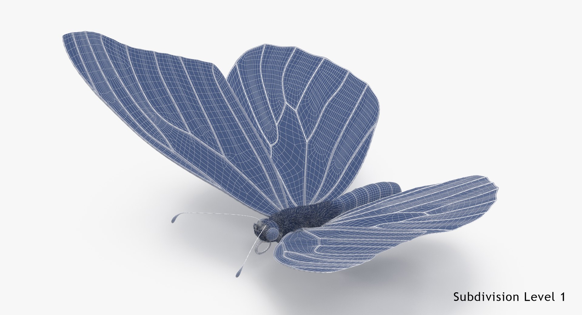 Monarch Butterfly Flying 3d Model