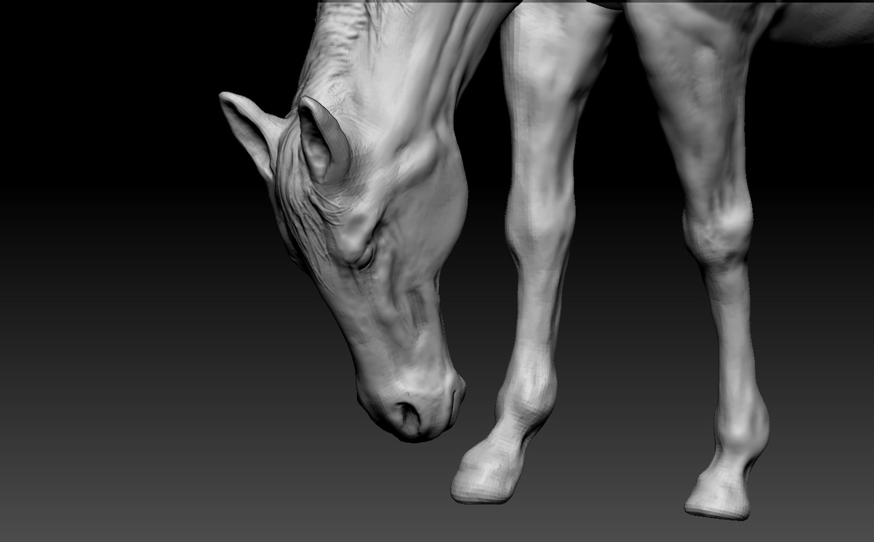 Horse Grazing Printing 3D Model - TurboSquid 1701762