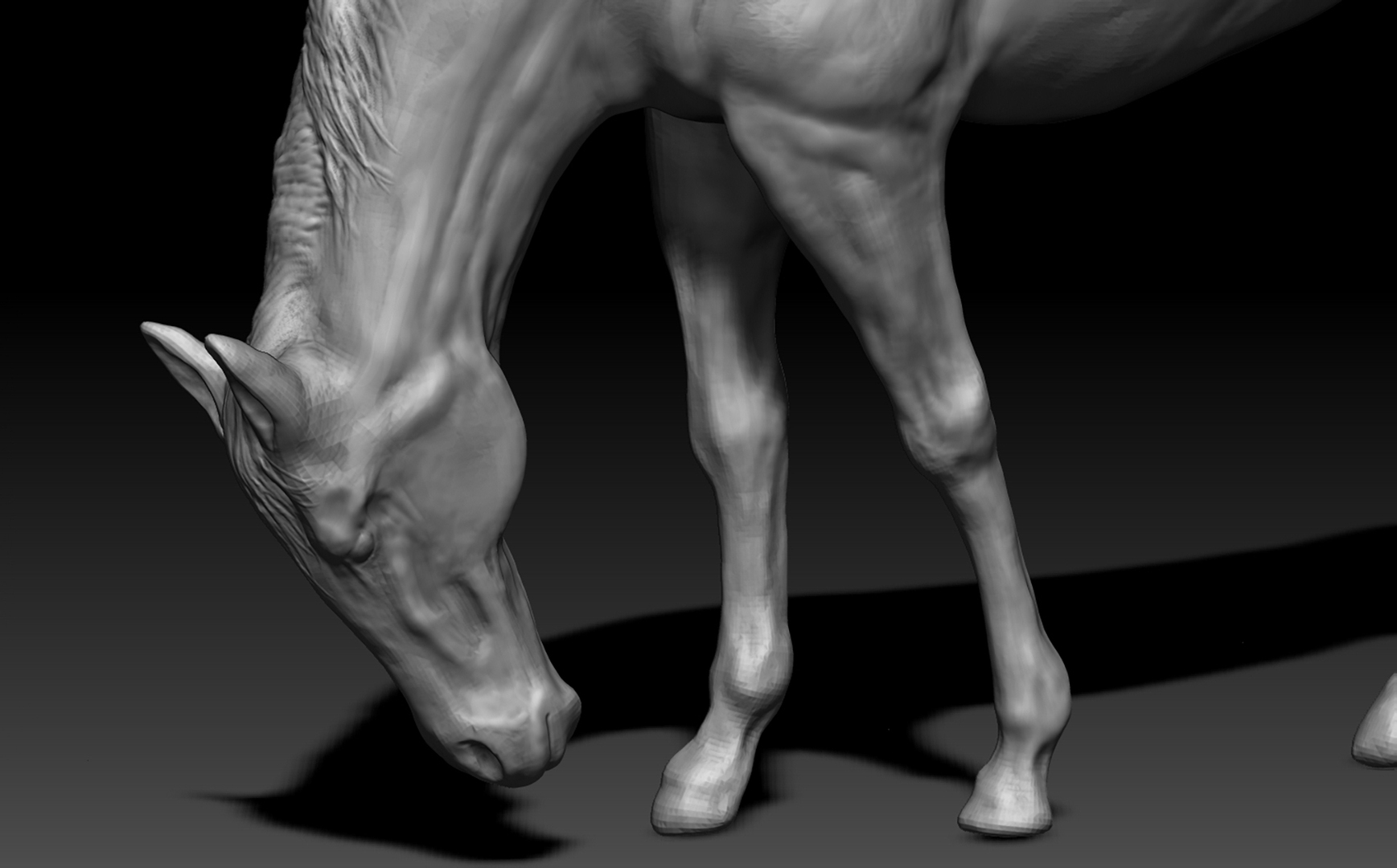 Horse grazing printing 3D model - TurboSquid 1701762