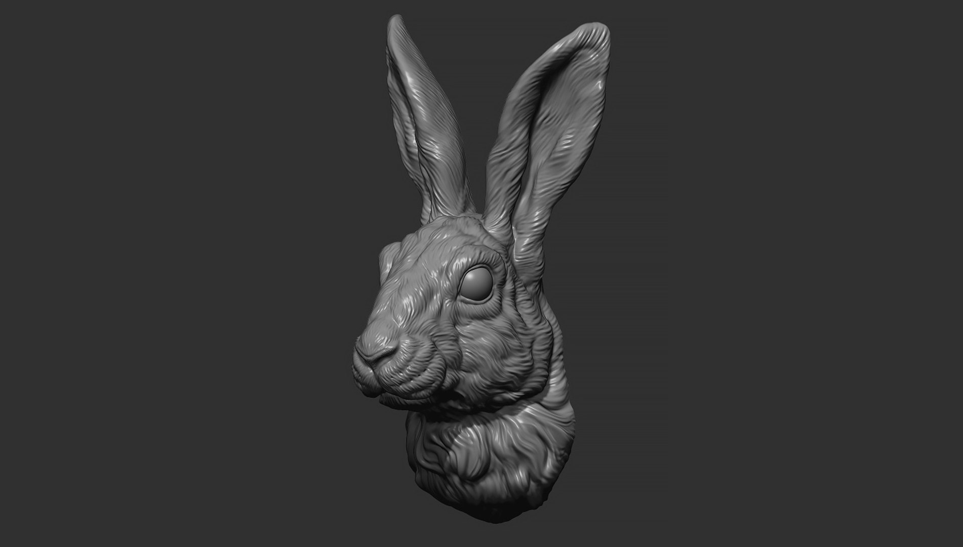 3D Model Hare Head - TurboSquid 1934993
