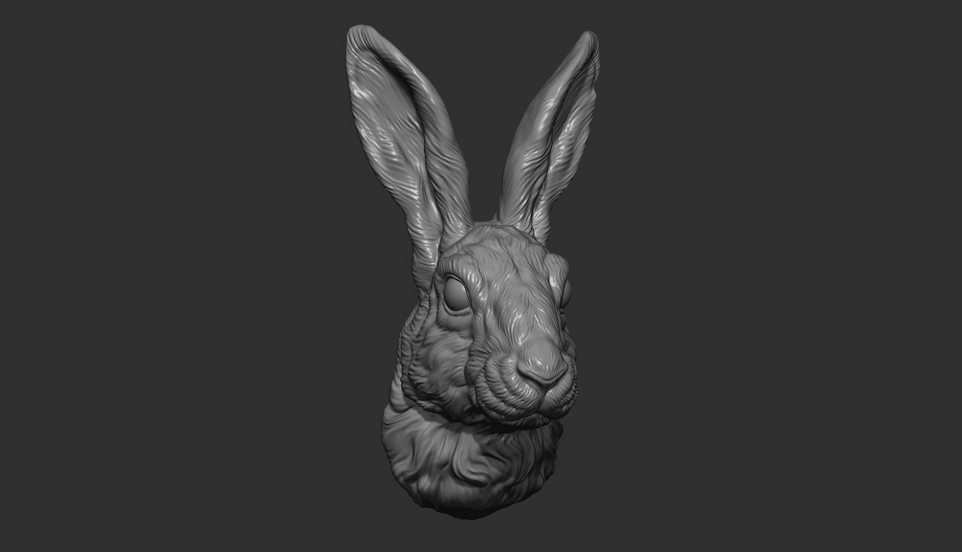 3D Model Hare Head - TurboSquid 1934993