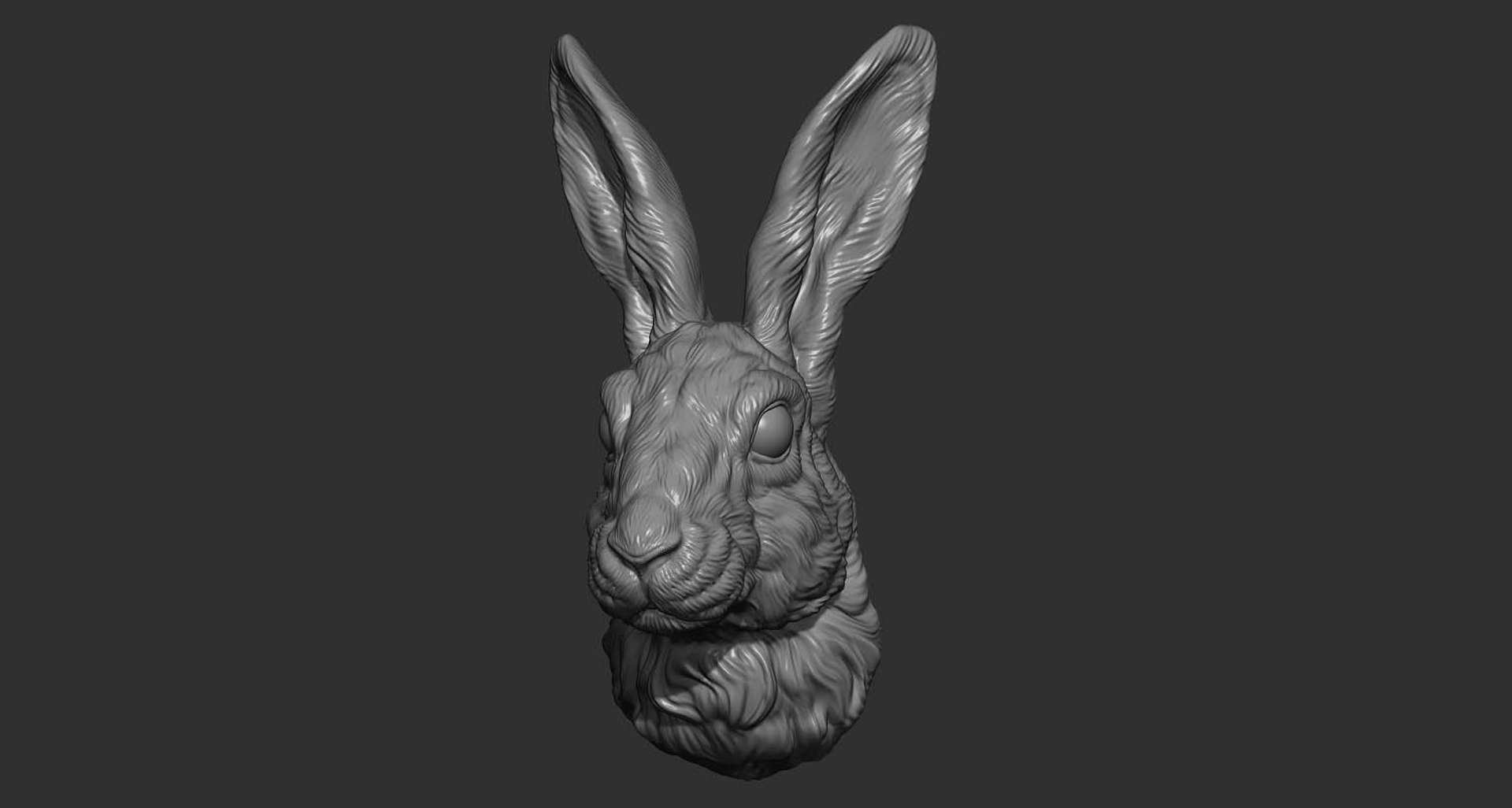 3D Model Hare Head - TurboSquid 1934993
