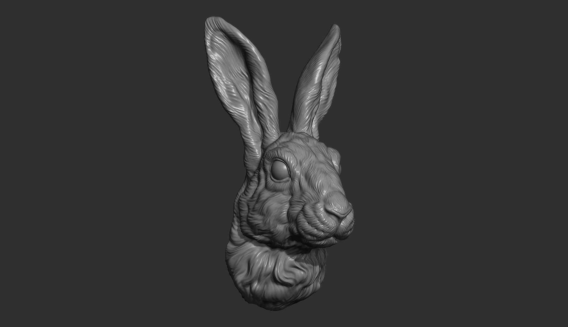 3D Model Hare Head - TurboSquid 1934993