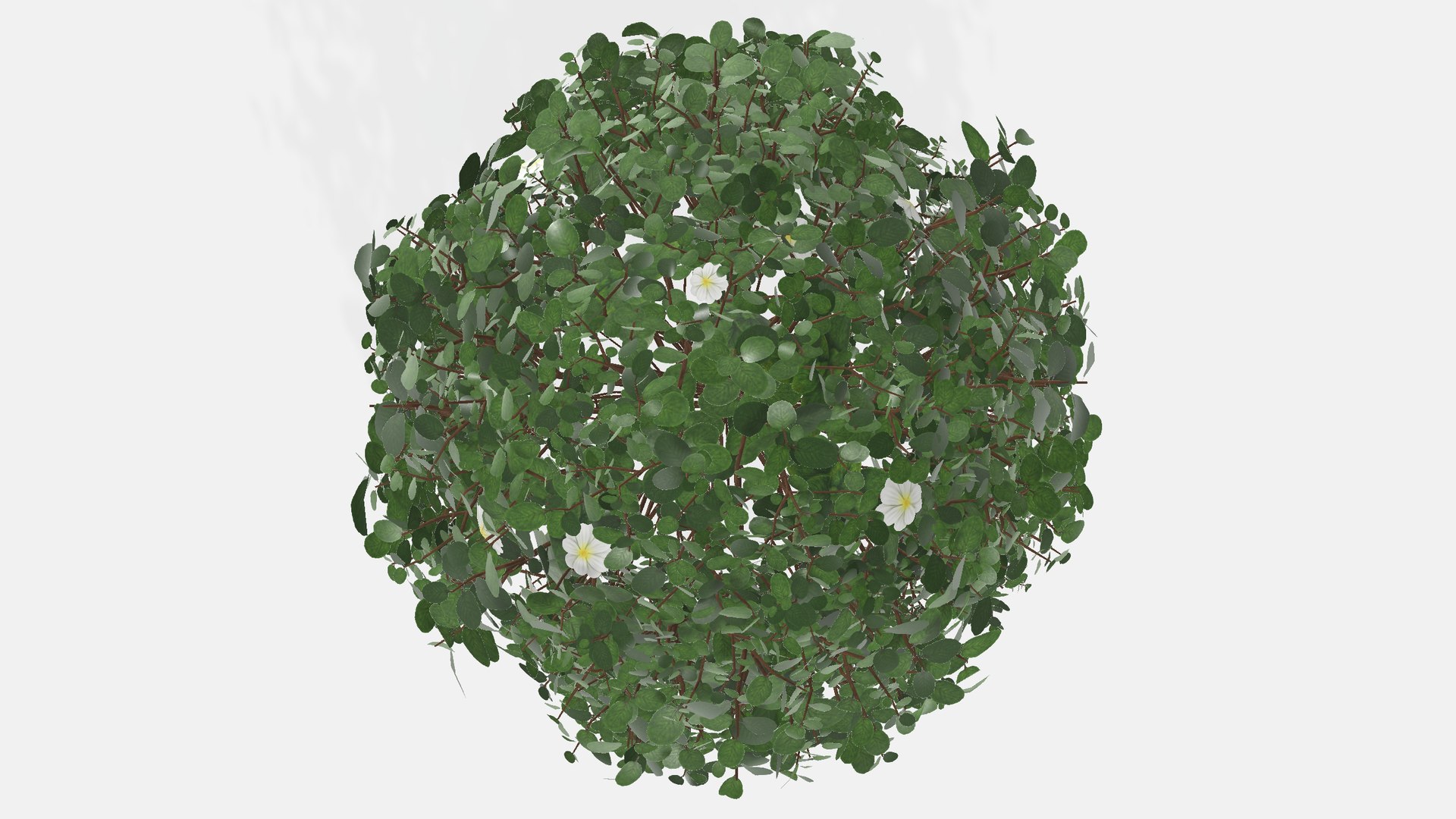 Bush With Flowers 3D Model - TurboSquid 2331155