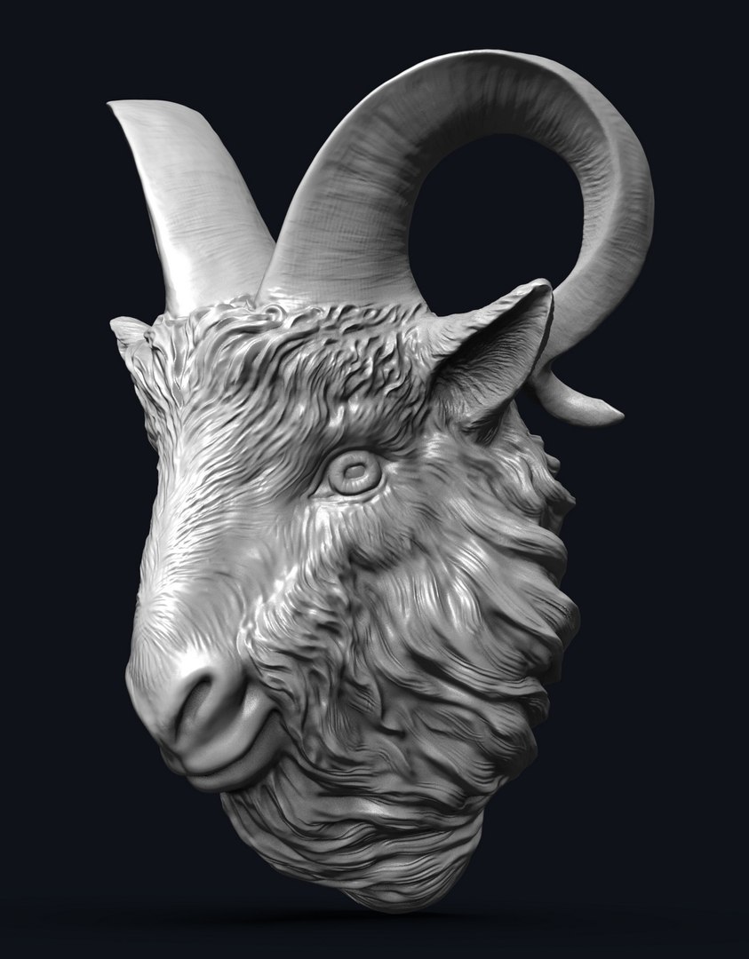 Goat Head 3D Model - TurboSquid 1854685
