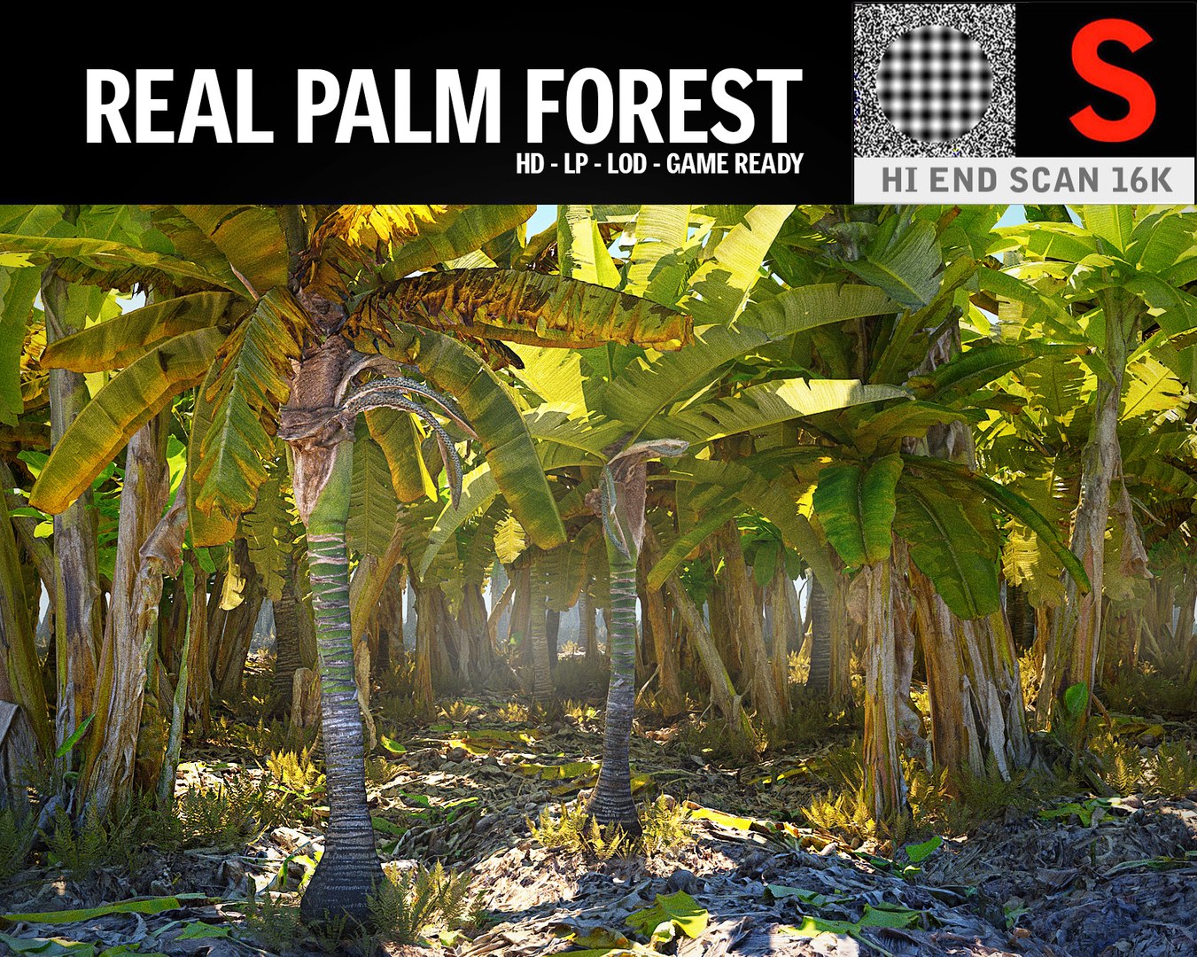 Real Palm Forest Hd 3D Model - TurboSquid 1359615