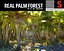 Real Palm Forest Hd 3D Model - TurboSquid 1359615