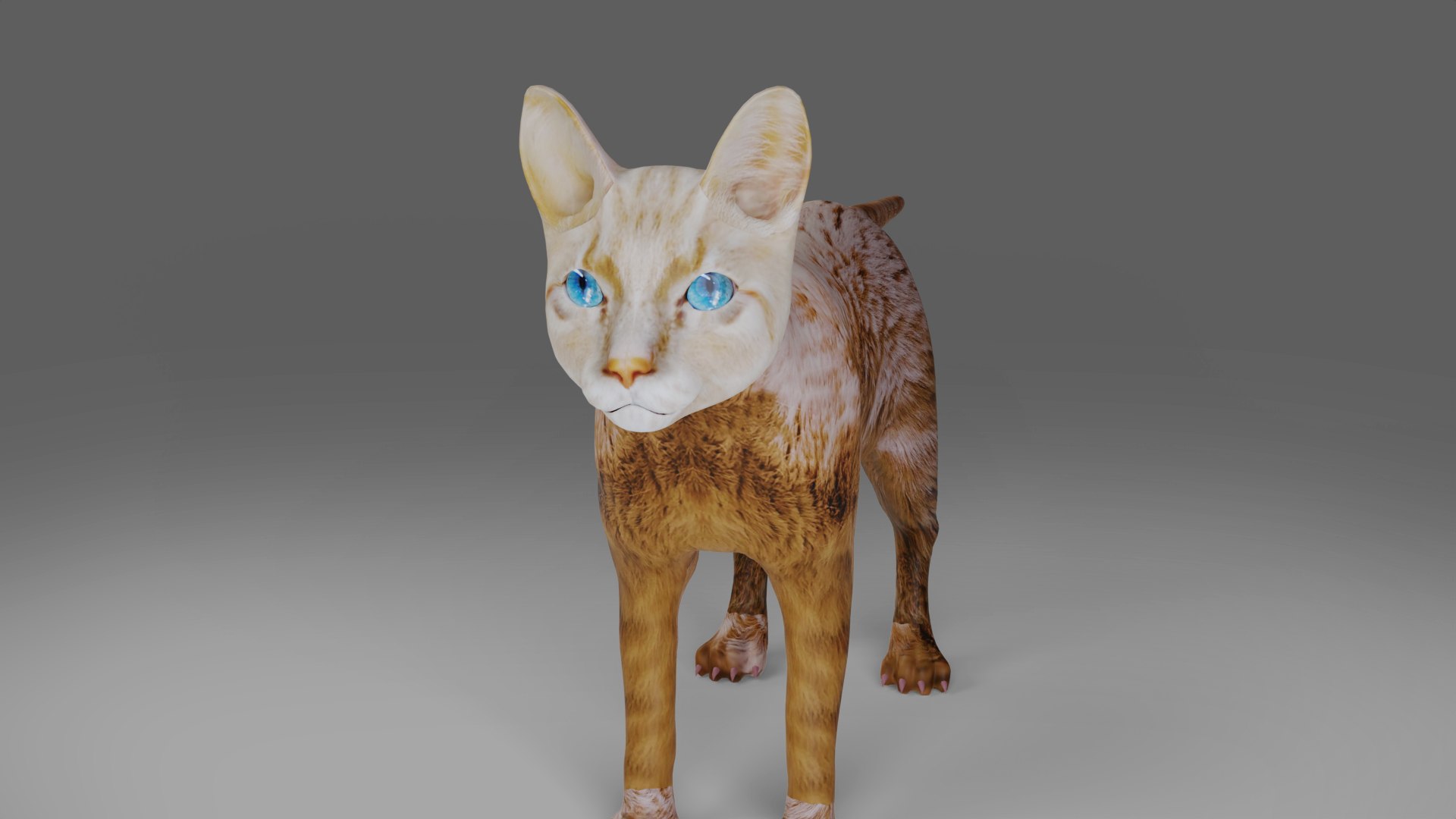 Cat White Rigged In Blender 3D Model - TurboSquid 1984541