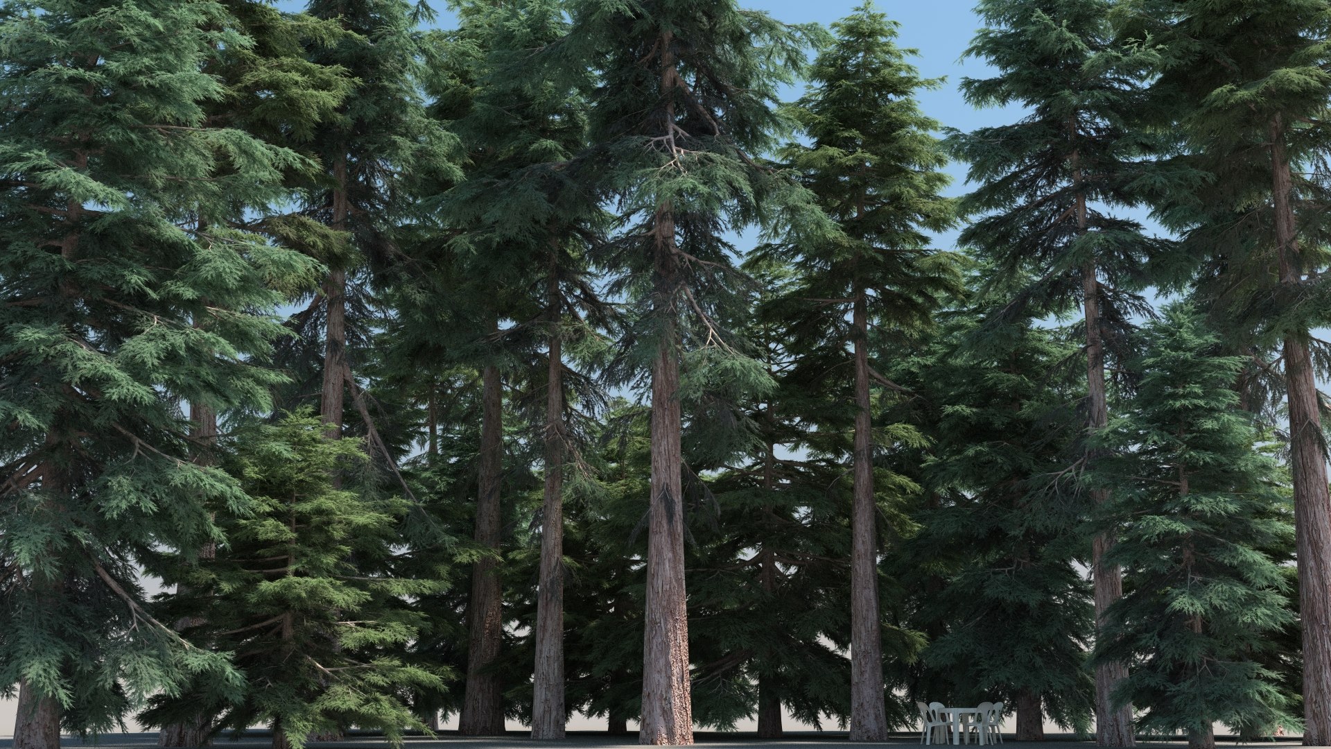 10 Cedar Trees 3D Model | 1148454 | TurboSquid