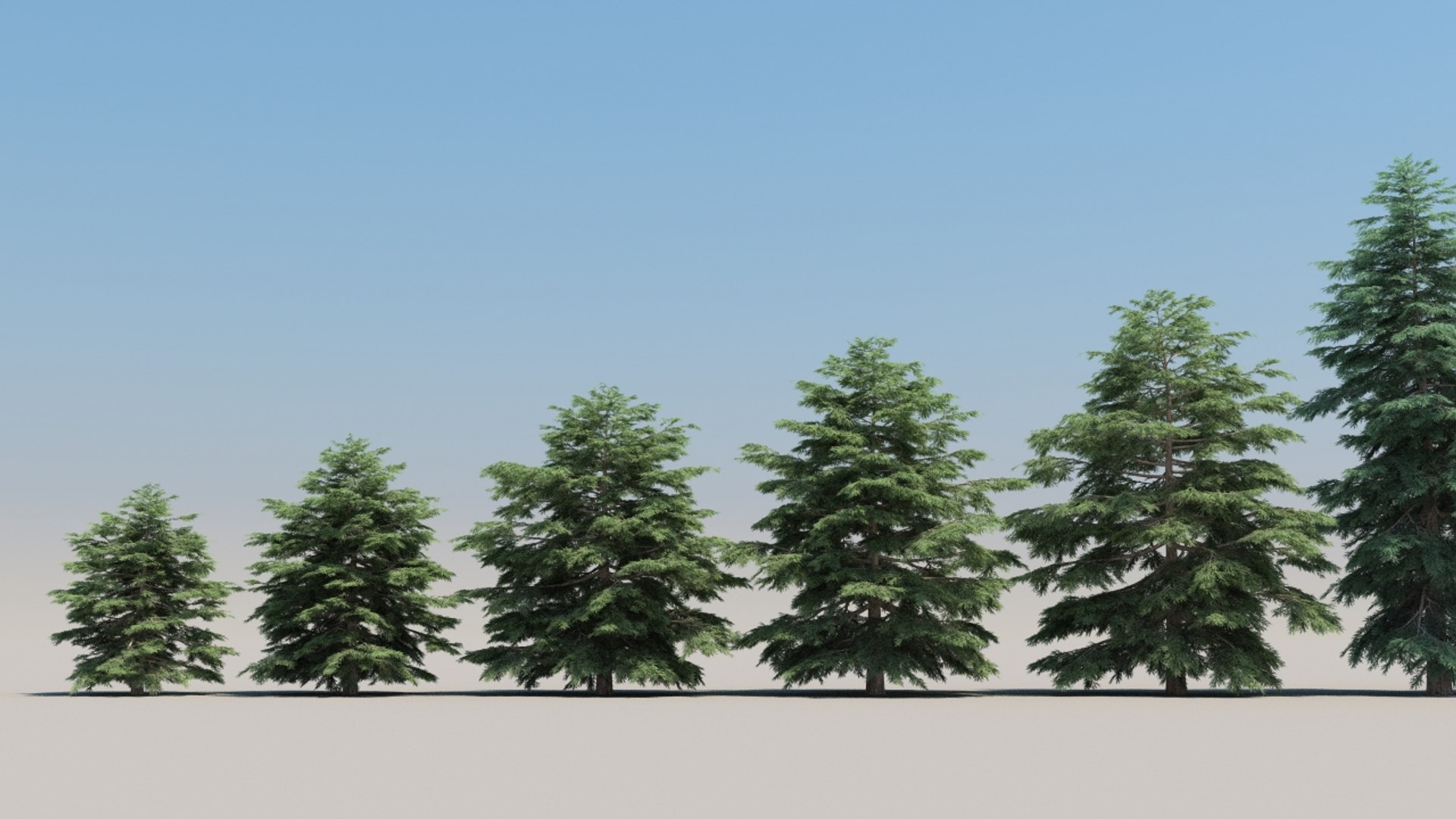 10 Cedar Trees 3D Model | 1148454 | TurboSquid
